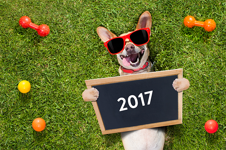 How to Come Out on Top for Year End - Better Homes and Gardens Real ...