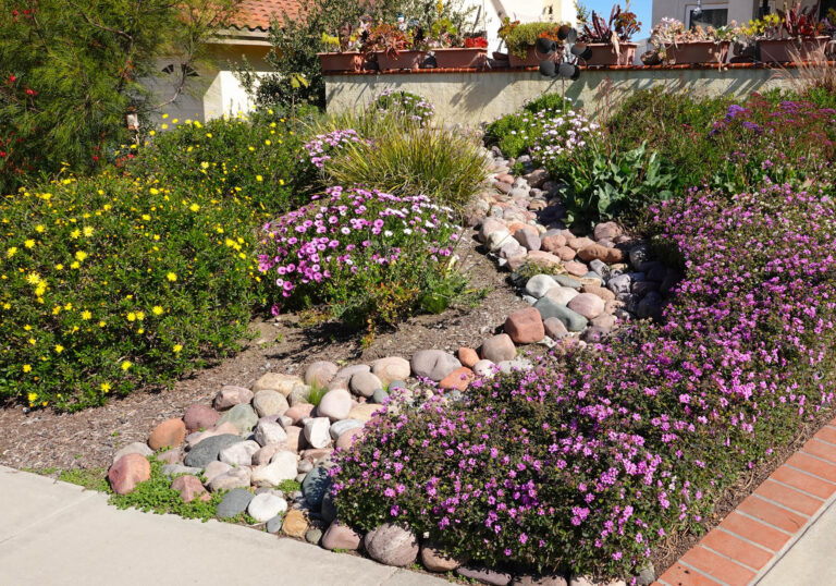 Water-Wise: Eco-Friendly Landscaping Ideas to Attract Green Buyers ...